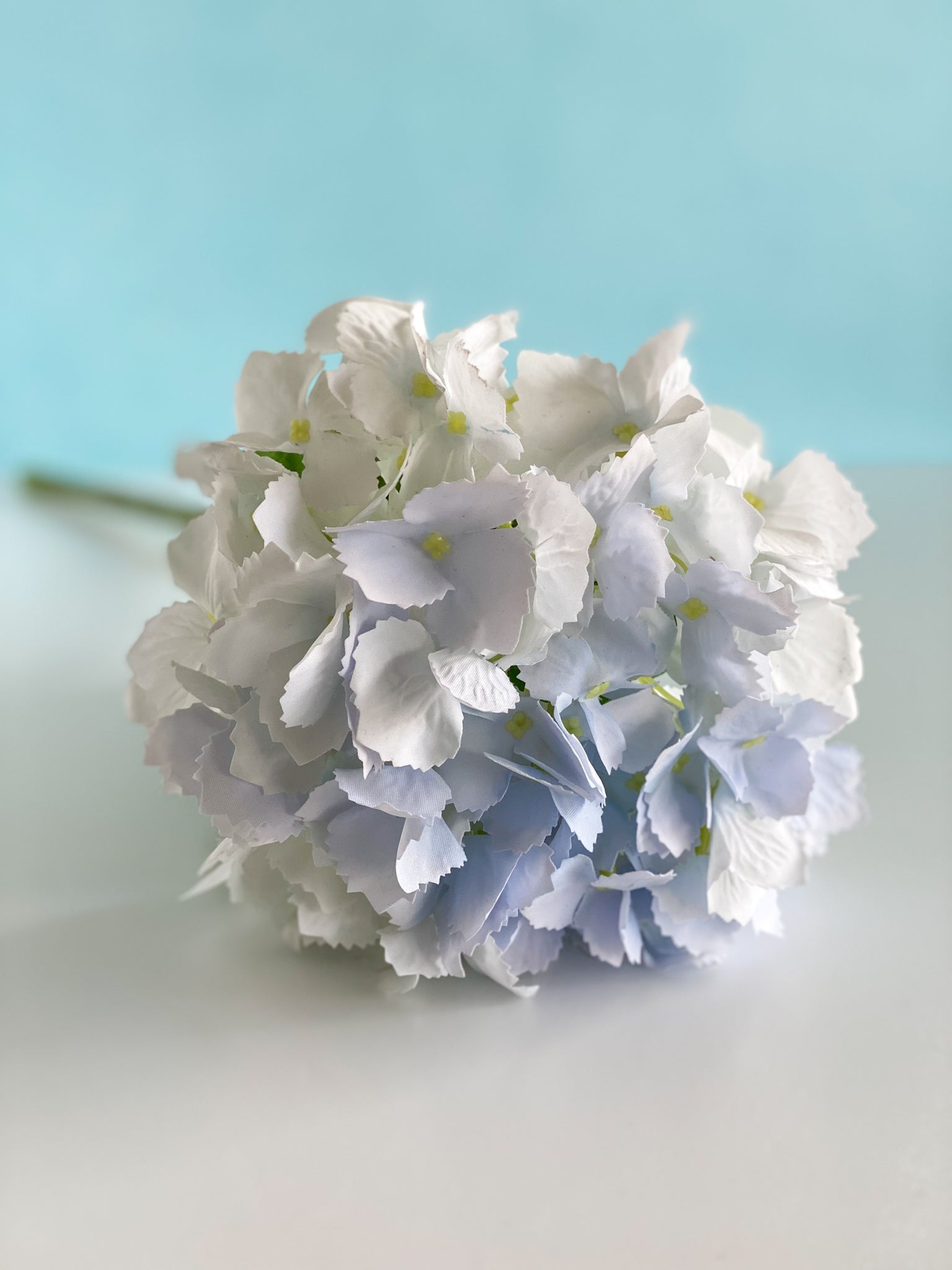 Blue Hydrangea Stem | SouthernlyPlace